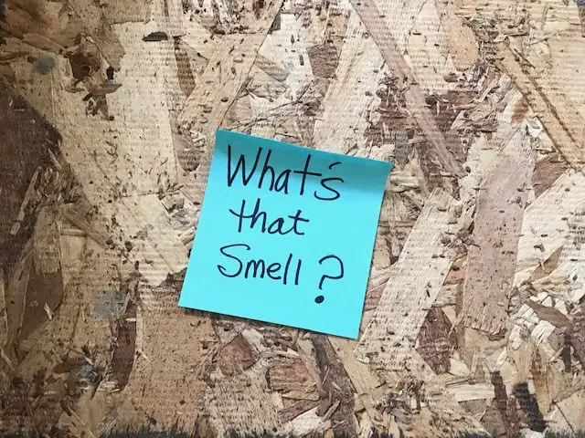 How Do You Get Rid Of The Smell Of Particle Board Plus 2 Plants That Help