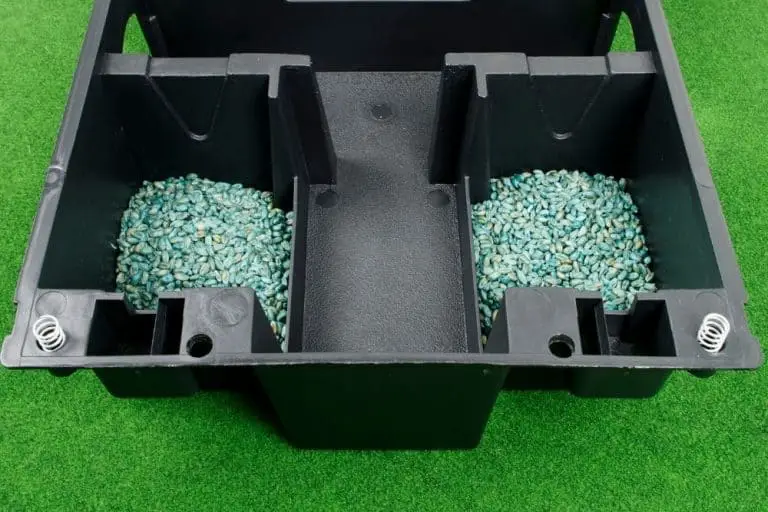 Can Rat Poison Kill Humans? How Rodenticides Work - What Kills It